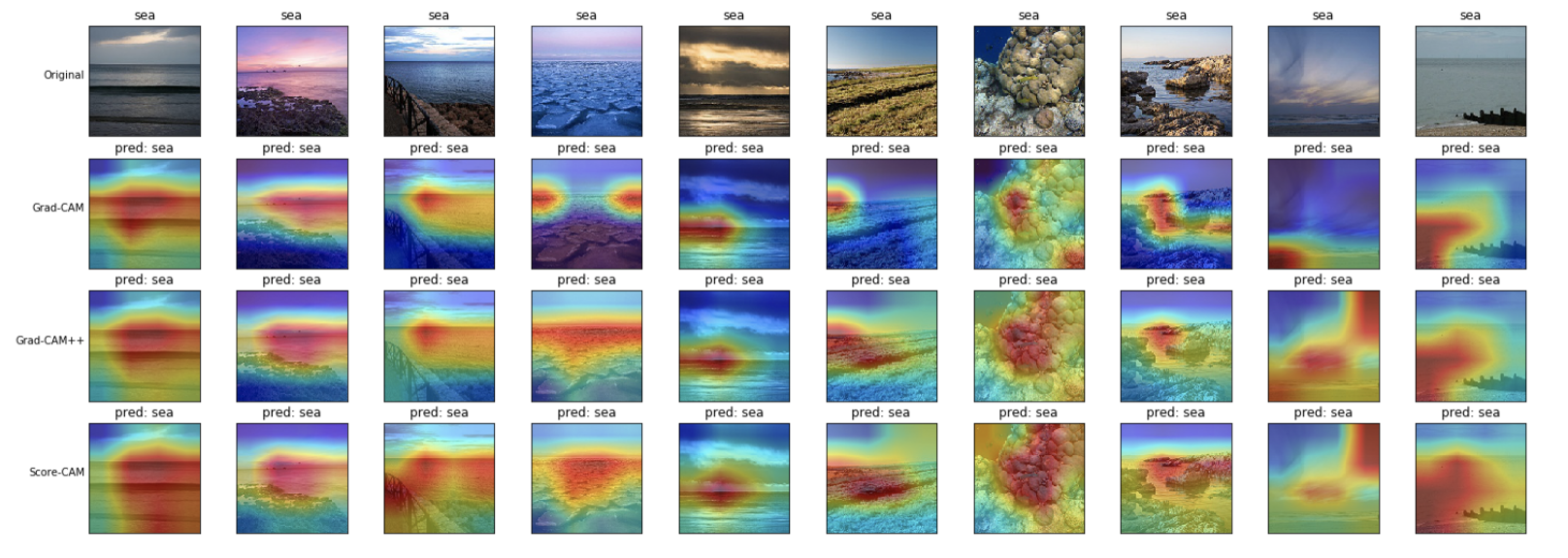 Grad-CAM、Grad-CAM++、Score-CAMを実装・比較してみた – 戦略コンサルで働くデータサイエンティストのブログ